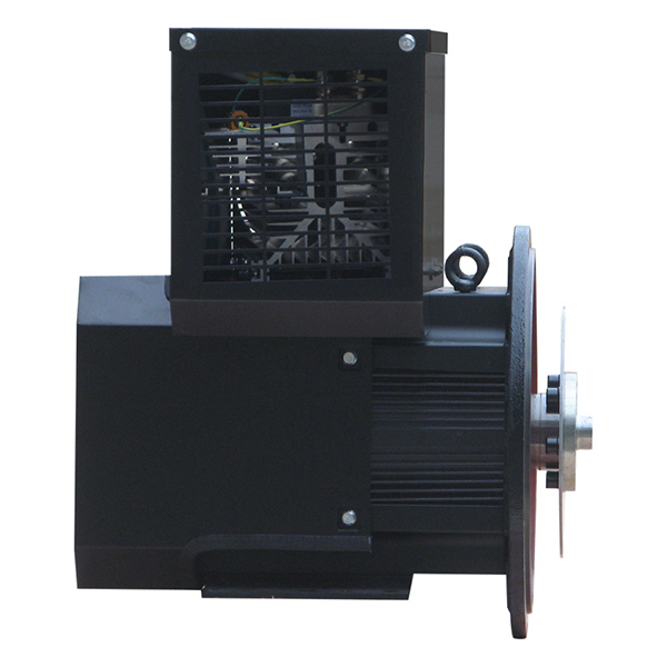 PMG DC GENERATOR